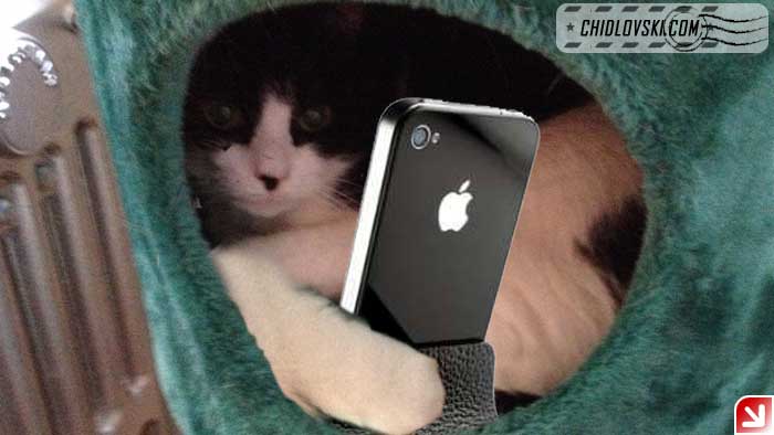 In-house Selfies Showcased: chidlovski — LiveJournal